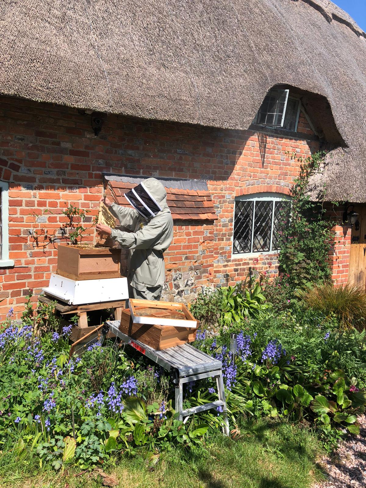 Purchasing & contacting- – Tudor Thatch Honey