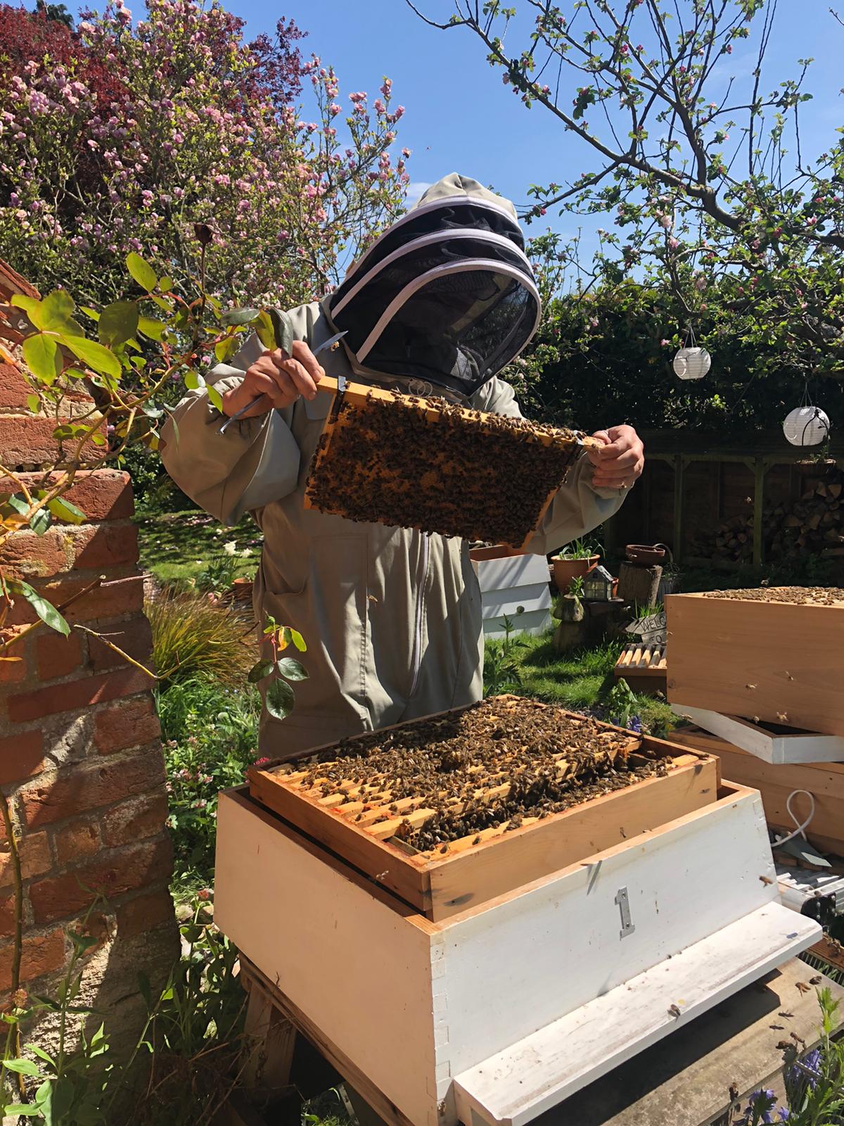 Tudor Thatch Honey – Local honey bee products West Berkshire